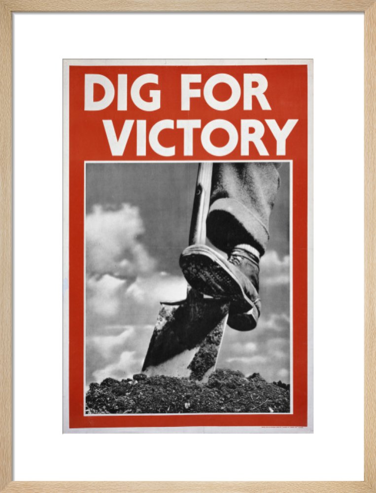Dig For Victory – IWM Prints