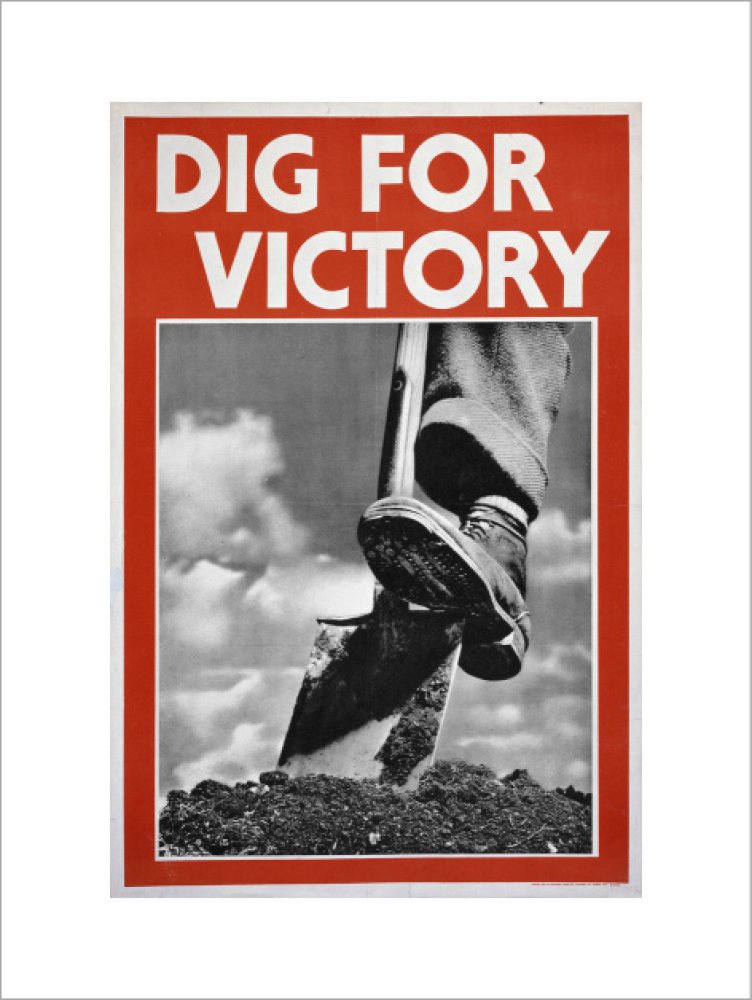 Dig For Victory – IWM Prints