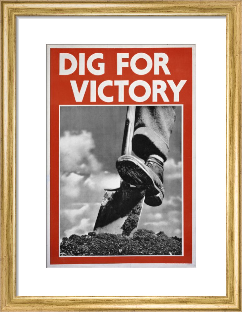 Dig For Victory – IWM Prints