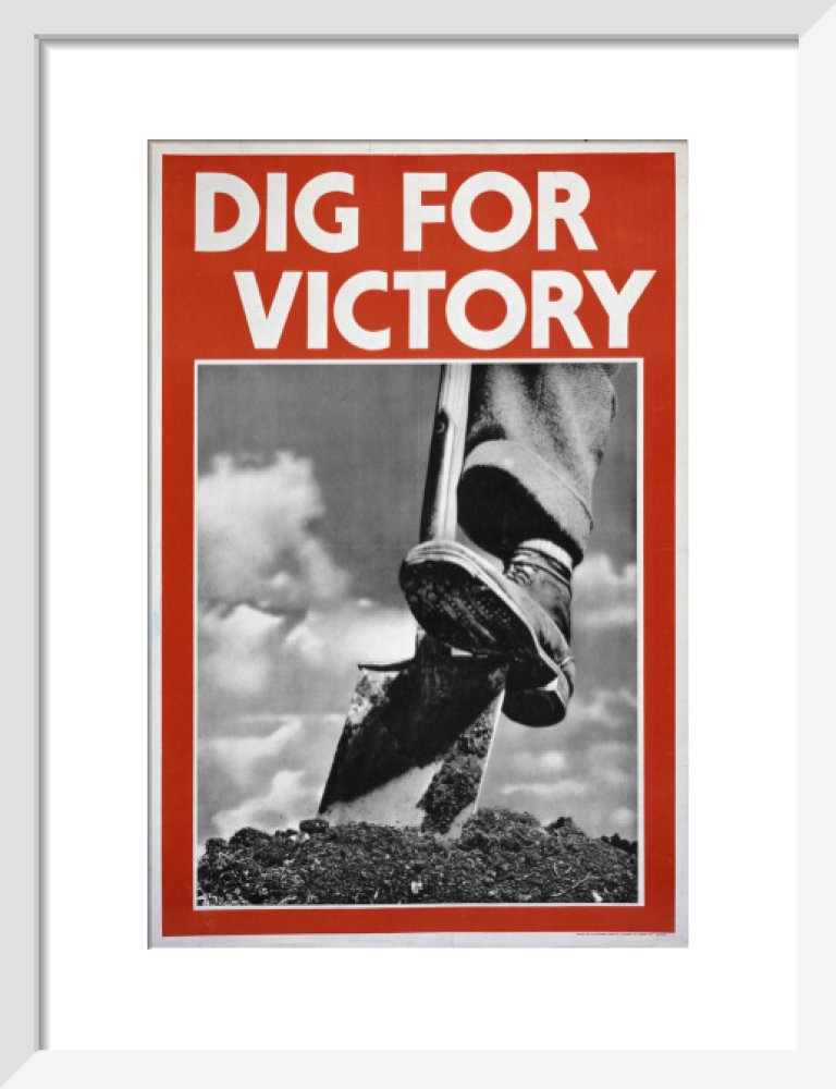 Dig For Victory – IWM Prints